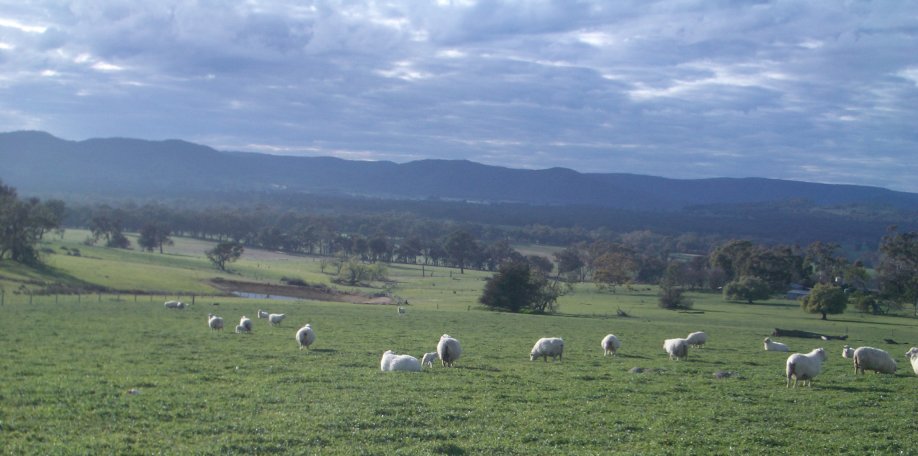 Farm_Sept08d – Beersheba Farm